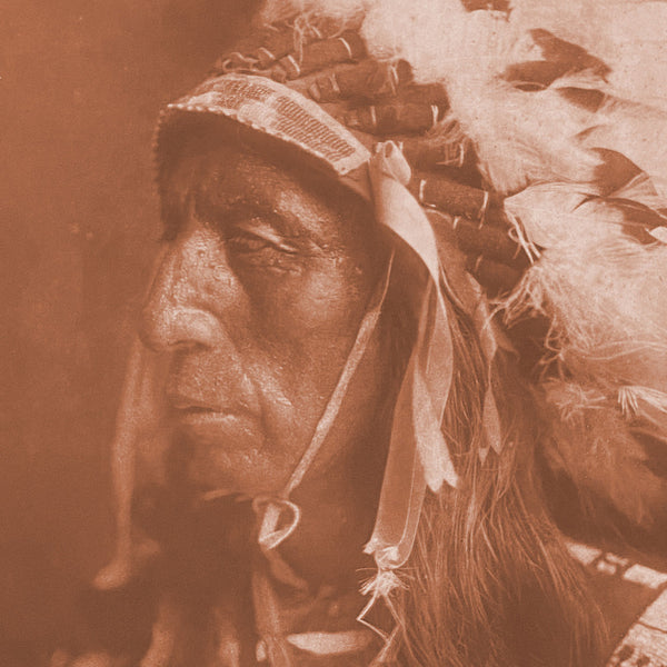 TETON SIOUX - The Curtis Gallery