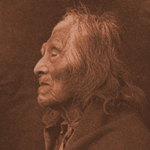 Namnit - The Curtis Gallery