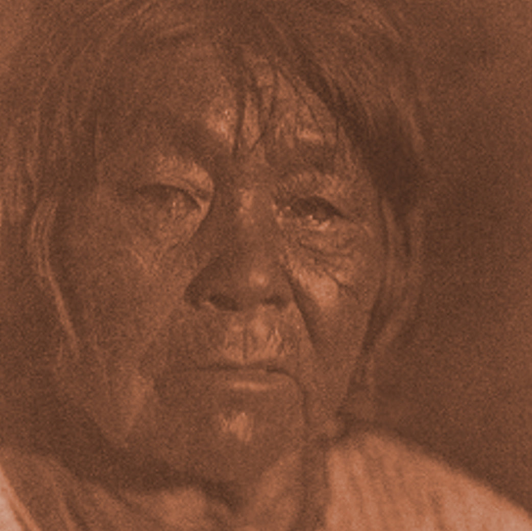 WAILAKI - The Curtis Gallery
