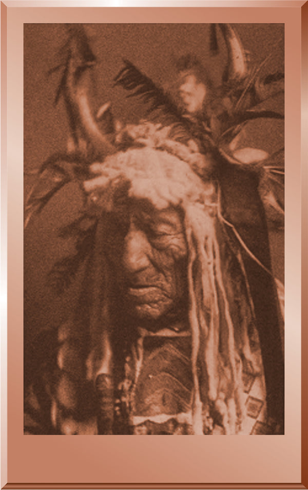 Lean Wolf - Hidatsa - The Curtis Gallery